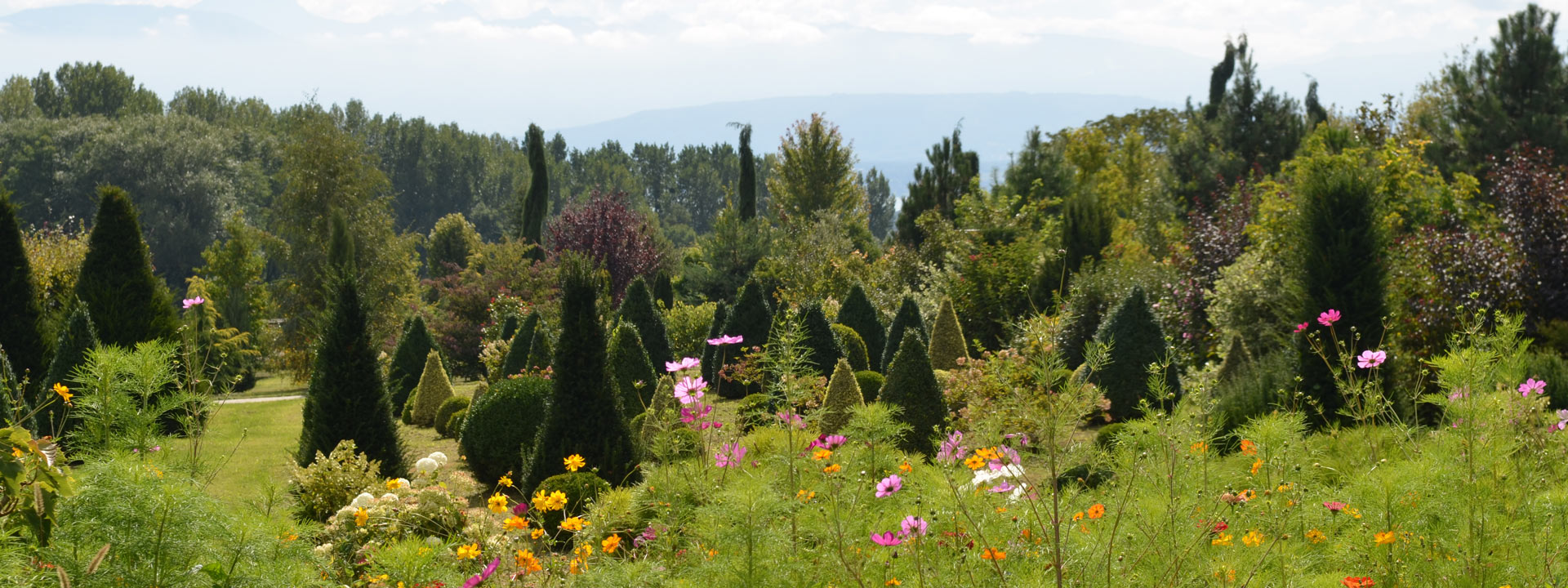 Pépinière de Genolier : 20ha de pépinière entre Genève et Lausanne ...